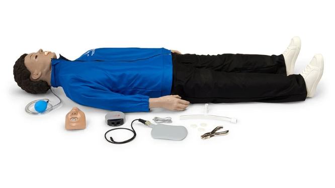 Life / form® CPARLENE® Maniquí de tamaño completo con Heartisense ...