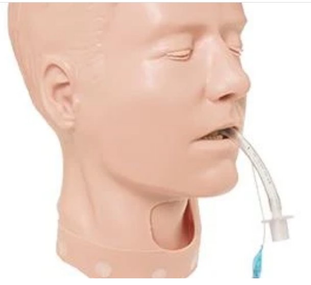 STAT Simulator Adult Deluxe Airway Management Head | RESCUE